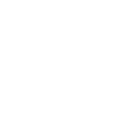 Snag Delivery | 10-Minute Delivery for College Students