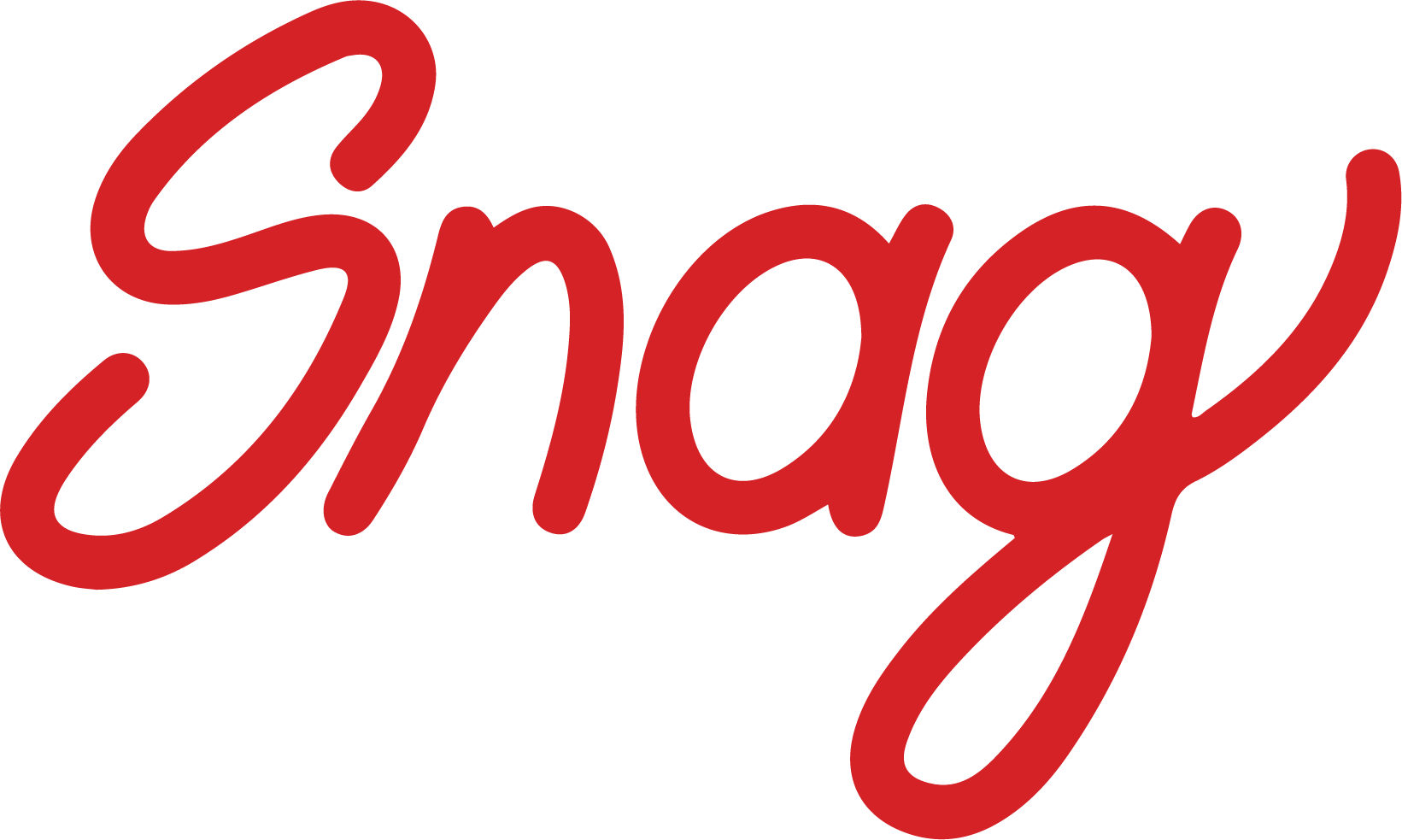 Snag Delivery | 10-Minute Delivery for College Students
